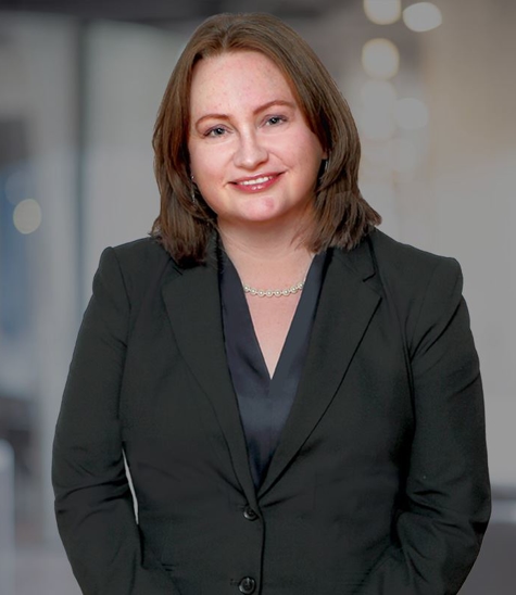 Michigan Family Law Attorney | Family Law Services in MI